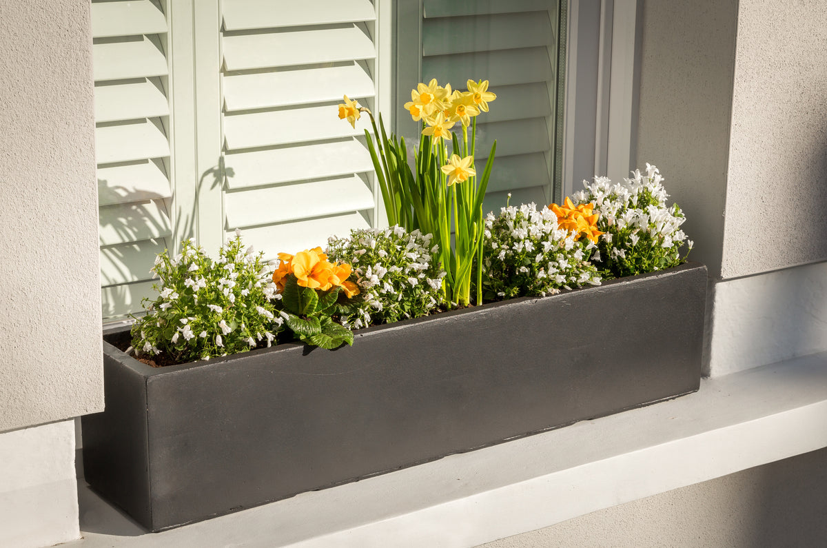 Large Window Box in Amalfi Black - Bay and Box